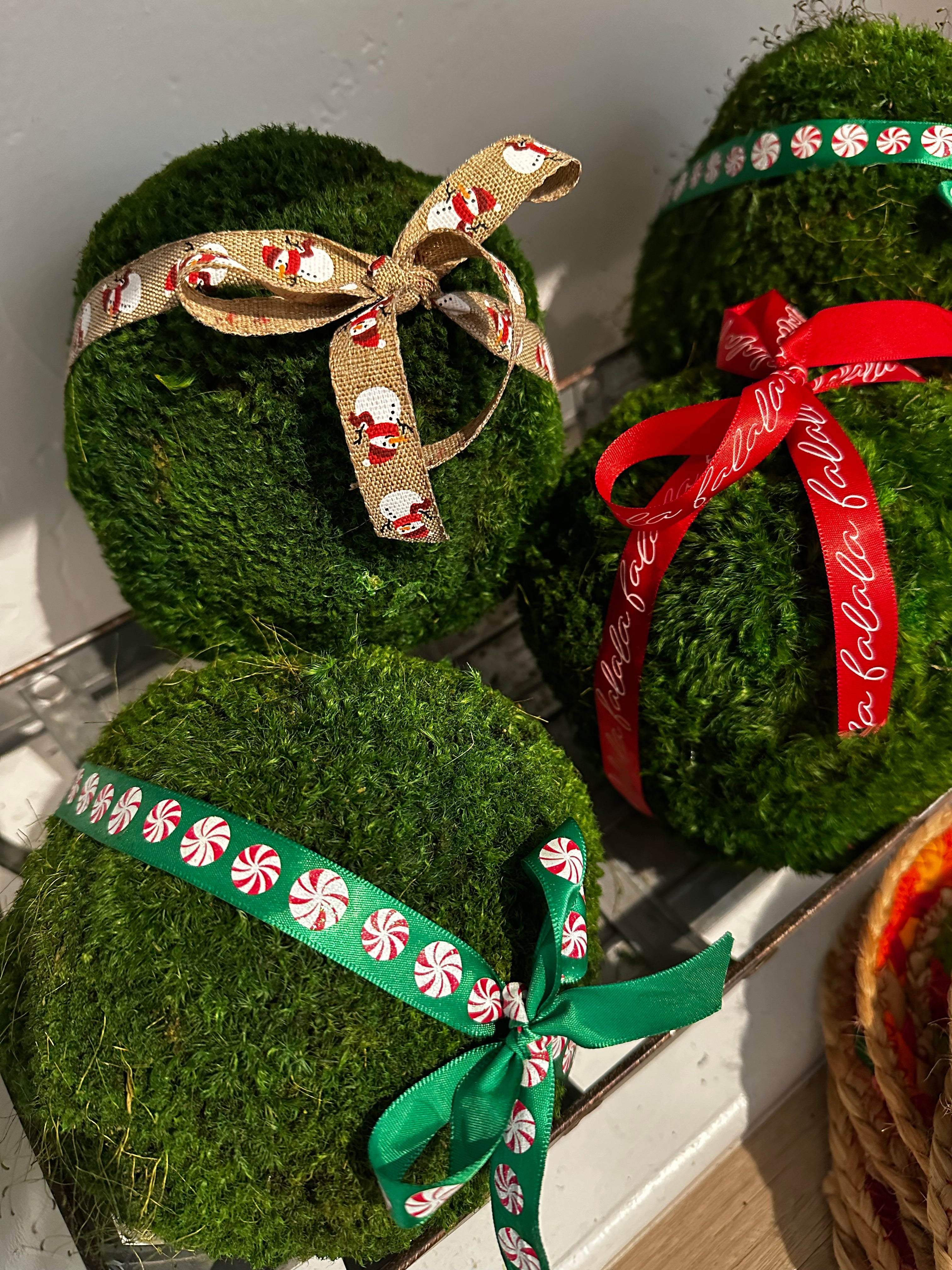Moss Ball – GLOBAL GARDENS